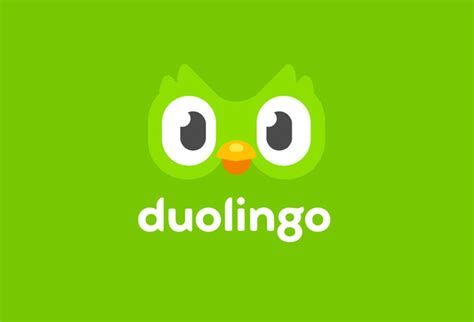 How To Talk To Duolingo Support And Video Calls With Lily