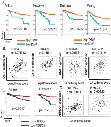The Expression Of Txnip Arrdc4 And Lactic Acidosis Pathways In Human