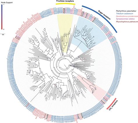 Identification And Sex Specific Expression Of Chemosensory Genes In The