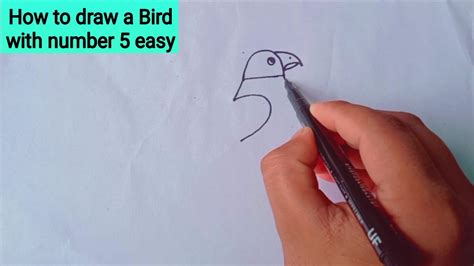 How To Draw Bird With Number Step By Step Very Easy How To Draw Bird Parrot With