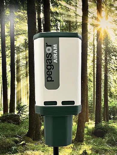 Pegasor Airam Pegasor