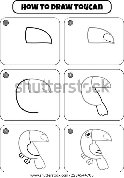 How Draw Toucan Step By Step Stock Vector Royalty Free Shutterstock