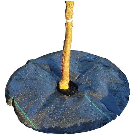Have A Question About TreeDiaper In Tree Hydration Mat For Trees Up To In Caliper Pg