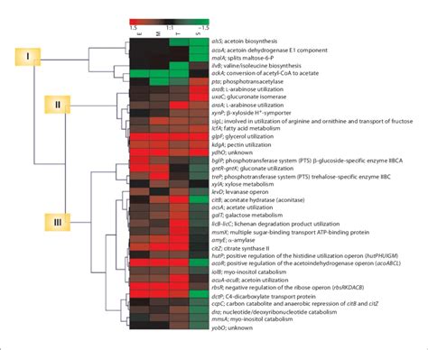 Hierarchical Clustering Of The Regulation Of The Ccpa Regulon Members