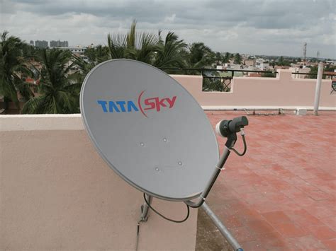 6 Cases On How To DIY A Parabolic Microphone Hollyland