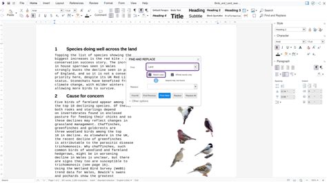 How To Use Find And Replace In Collabora Online Writer Collabora Online And Collabora Office