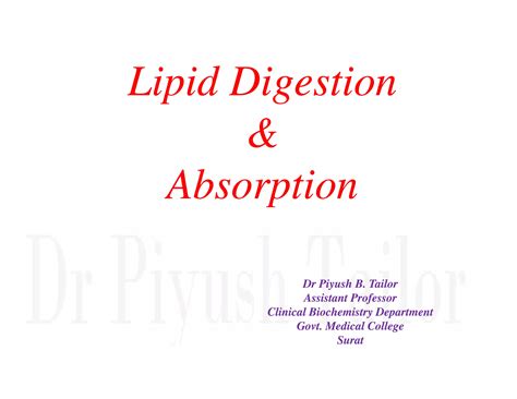 Lipid Digestion Absorption Pdf