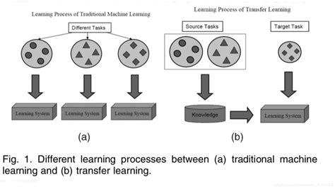 Pytorch学习—20模型的微调（finetune）pytorch Fine Tune Csdn博客
