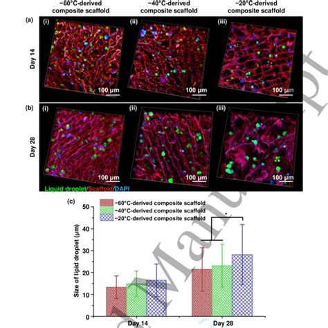 Zijie Meng Assistant Professor Doctor Of Engineering Xian Jiaotong University Xian