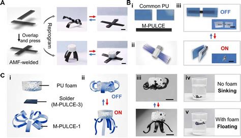 Multifunctional And Multimaterial Magnetic Soft Actuators Prepared By Download Scientific