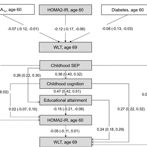 A Simple Path Model For The Association Of Mid Life Hba1c Homa2 Ir