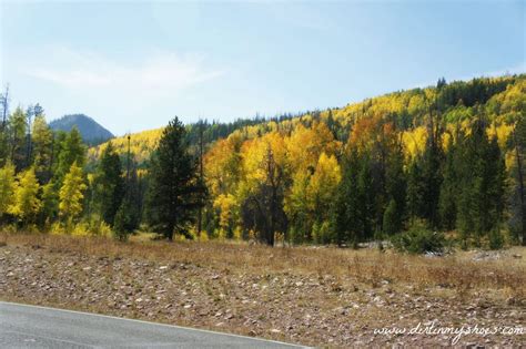 The Best Of Utah Fall Colors Along The Mirror Lake Highway