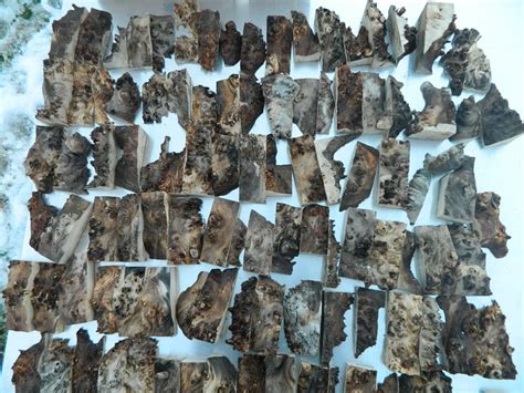 Sold Poplar Burl Spiky Offcuts The International Association Of