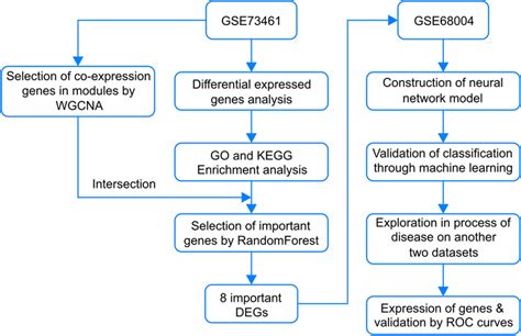 Flow Chart Of The Study Including Gene Screening And Machine Learning