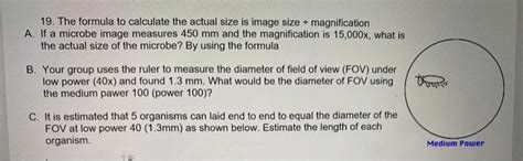 Solved 19 The Formula To Calculate The Actual Size Is Image