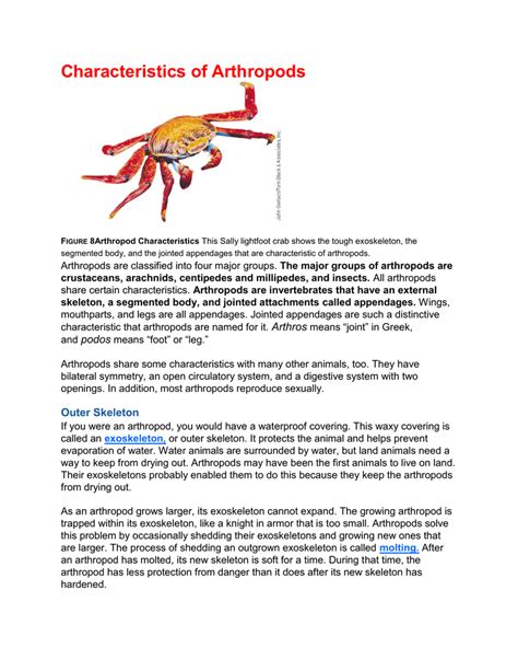 Arthropods Digestive Tract