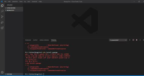 Pip Install Pymongo 오류 문의 인프런 커뮤니티 질문and답변