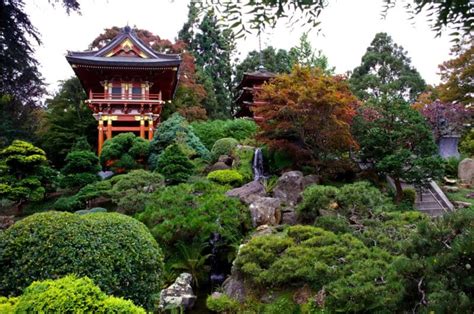 Amazing Things To Do On A Rainy Day In San Francisco Ca Wandering