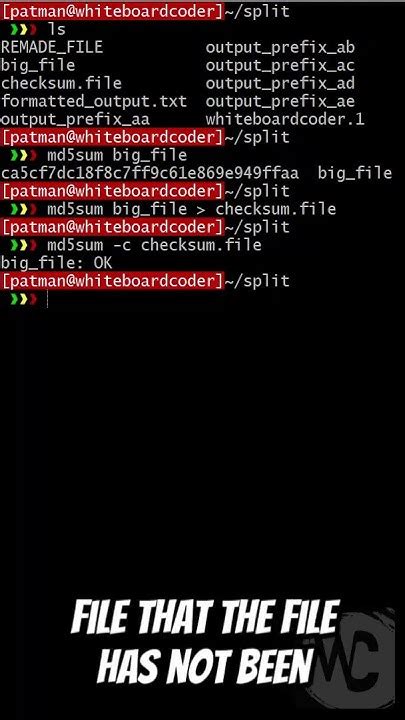 linux md5sum coding linux linuxtutorials linuxcommandlinetutorial
