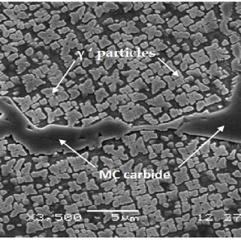 Sem Micrograph Showing γ Precipitates And Mc Carbides In As Cast In738
