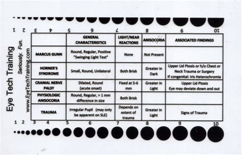 Pupil Chart Pupil Gauge Chart Printable Drug Pupil Dilation Pupils Chart