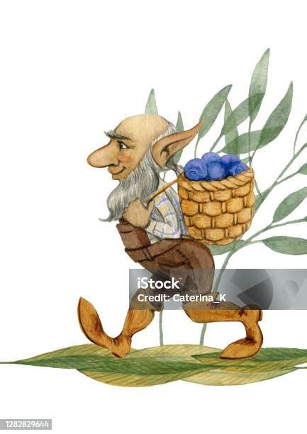 블루베리가 달린 짚 바구니를 들고 회색 수염을 가진 귀여운 대머리 요정 노움의 수채화 일러스트 요정 가공의 인물에 대한 스톡 벡터 아트 및 기타 이미지 Istock