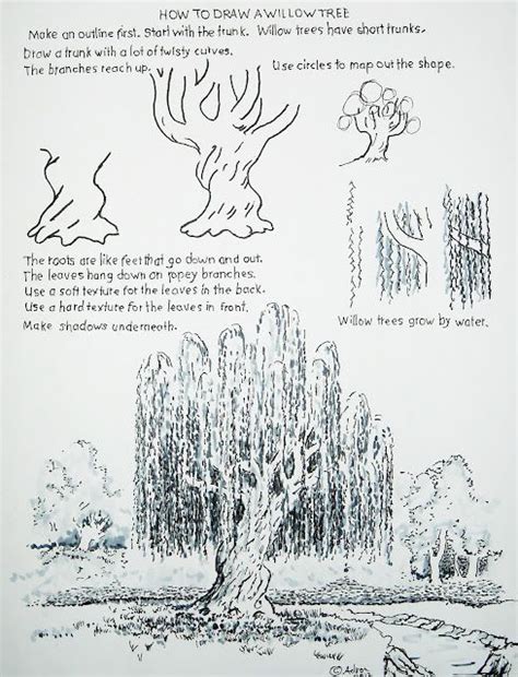 De bedste idéer inden for How to draw nature på Pinterest Tegneteknikker Mennesketegning
