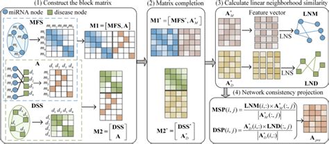 Bmpmda Prediction Of Mirna Disease Associations Using A Space