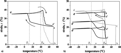 Reversible Stress‐driven And Stress‐free Two‐way Shape Memory Effect In