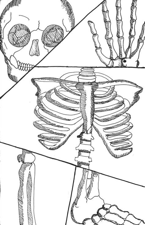 ib contour skeleton i teach you stuff