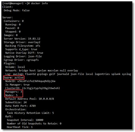 Docker Swarm 集群环境搭建及弹性服务部署 哈喽沃德先生 博客园