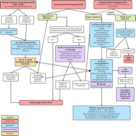 Care Pathway For Diagnosis And Management Of Brugada Syndrome Brs
