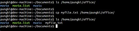 linux cp 命令的15个示例 创建文件和目录的副本 linuxstory