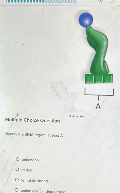 Solved A Mcgraw Hill Multiple Choice Question Identify The Trna Region Labeled A Anticodon