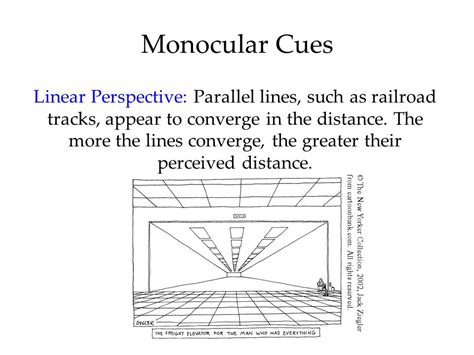 linear perspective monocular cues