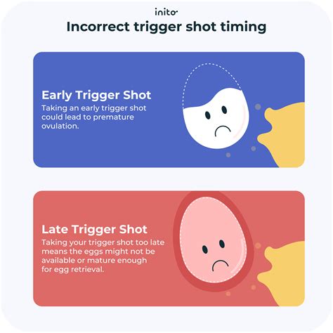 Six Common HCG Trigger Shot Mistakes To Avoid Inito