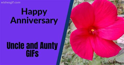 Celebrating The Love Happy Anniversary Uncle And Aunty Gifs To Share All Wishes In Gif