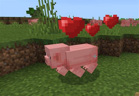 Minecraft Love Animation