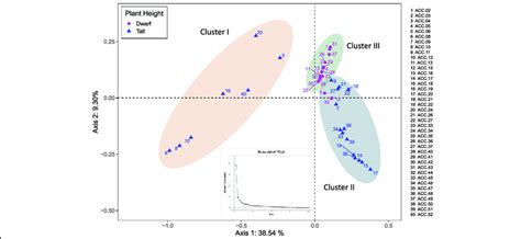 Principle Coordinates Analysis Pcoa Clustering 40 Coconut Accessions