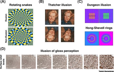 using artificial neural networks to ask ‘why questions of minds and