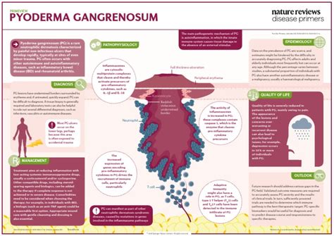 Pyoderma Gangrenosum Pathophysiology Epidemiology Pdf Inflammatory Bowel Disease