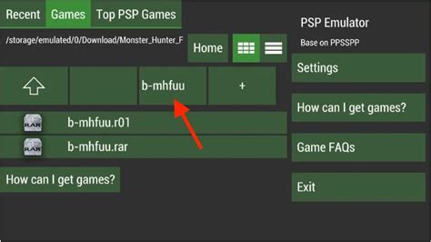 install pip3 from file auspowen