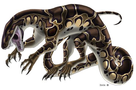 Python Molurus By IsisMasshiro On DeviantArt
