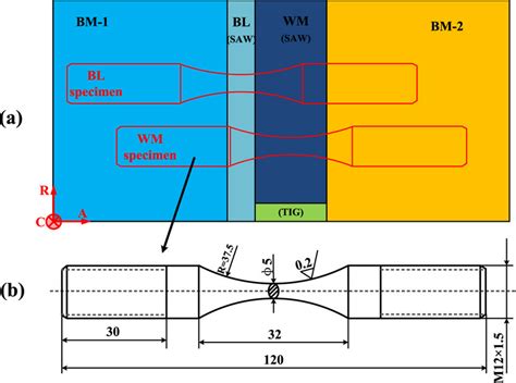 Schematic Of The Specimen Preparation And Fatigue Test Specimen A Bl Download Scientific