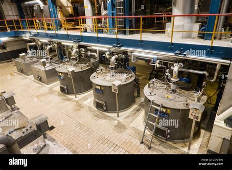 Sugar Beet Sugar Beet Beet Root Sugar Beet Root Beta Vulgaris Var Altissima Sugar Factory