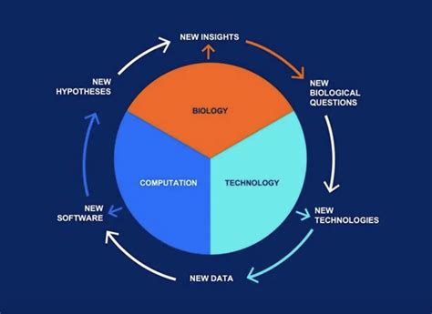 Value Of Systems Biology Modeling Software For Research