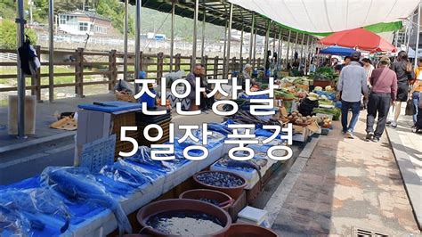 진안장날 어물전 생선시장싱싱한 생선과 채소 Youtube