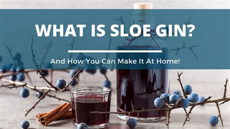 What Is Sloe Gin And How You Can Make It At Home DIY Distilling