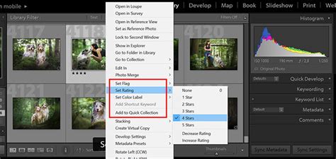How To Master Your Lightroom Workflow For Faster Editing