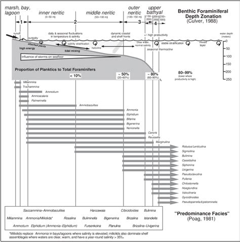 Summary Of General Benthic Foraminiferal Biofacies Trends Observed Download Scientific Diagram